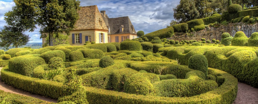 Box Hedging Alternatives for sale | Hedging UK