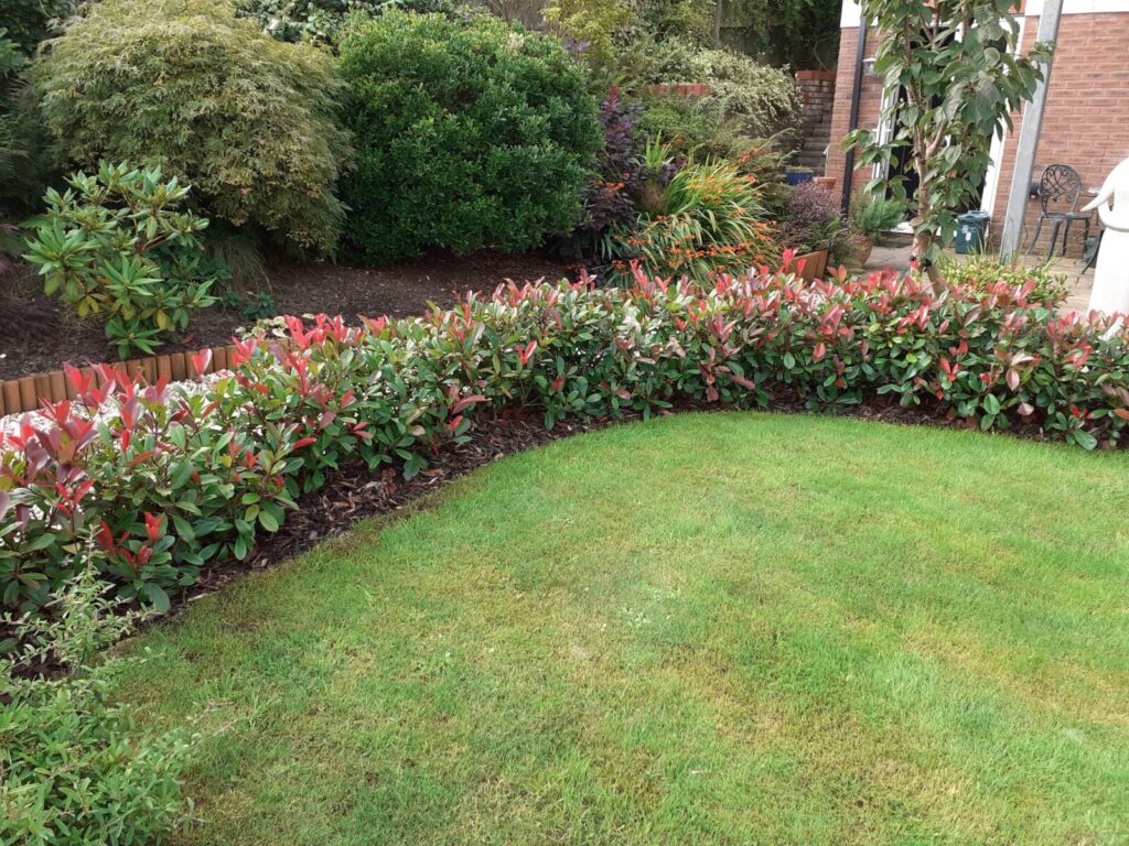 Your Ultimate Guide to Instant Hedging | Hedging UK